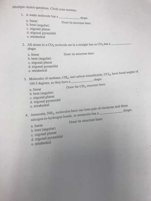 Solved Shapes of Molecules Lab Partner Date | Chegg.com