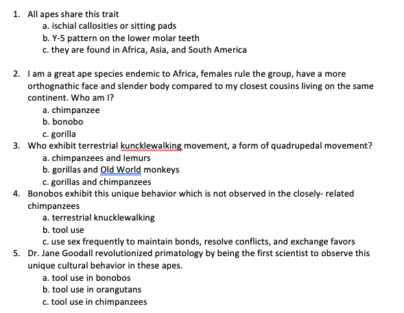 Solved 1. All apes share this trait a. ischial callosities | Chegg.com