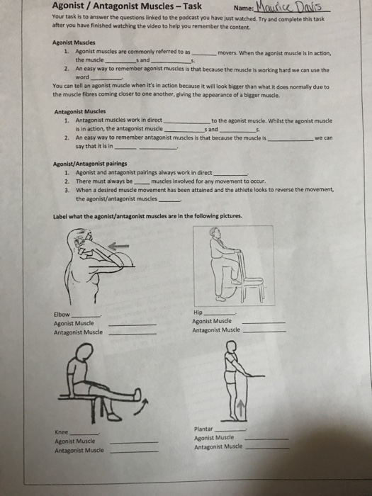 Solved Agonist / Antagonist Muscles-Task Name: Mouice Dais | Chegg.com