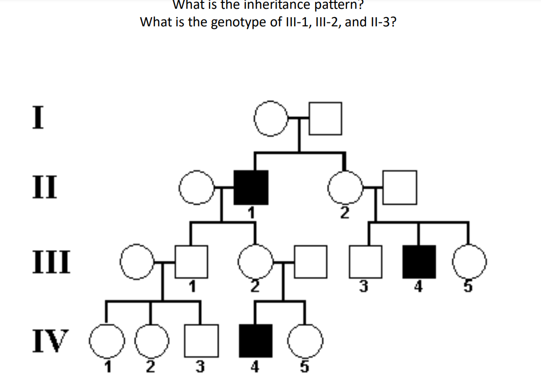 Solved What is the inheritance pattern?What is the genotype | Chegg.com