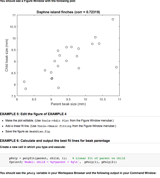 SETUP FOR LESSON Create an LinearModels directory on | Chegg.com