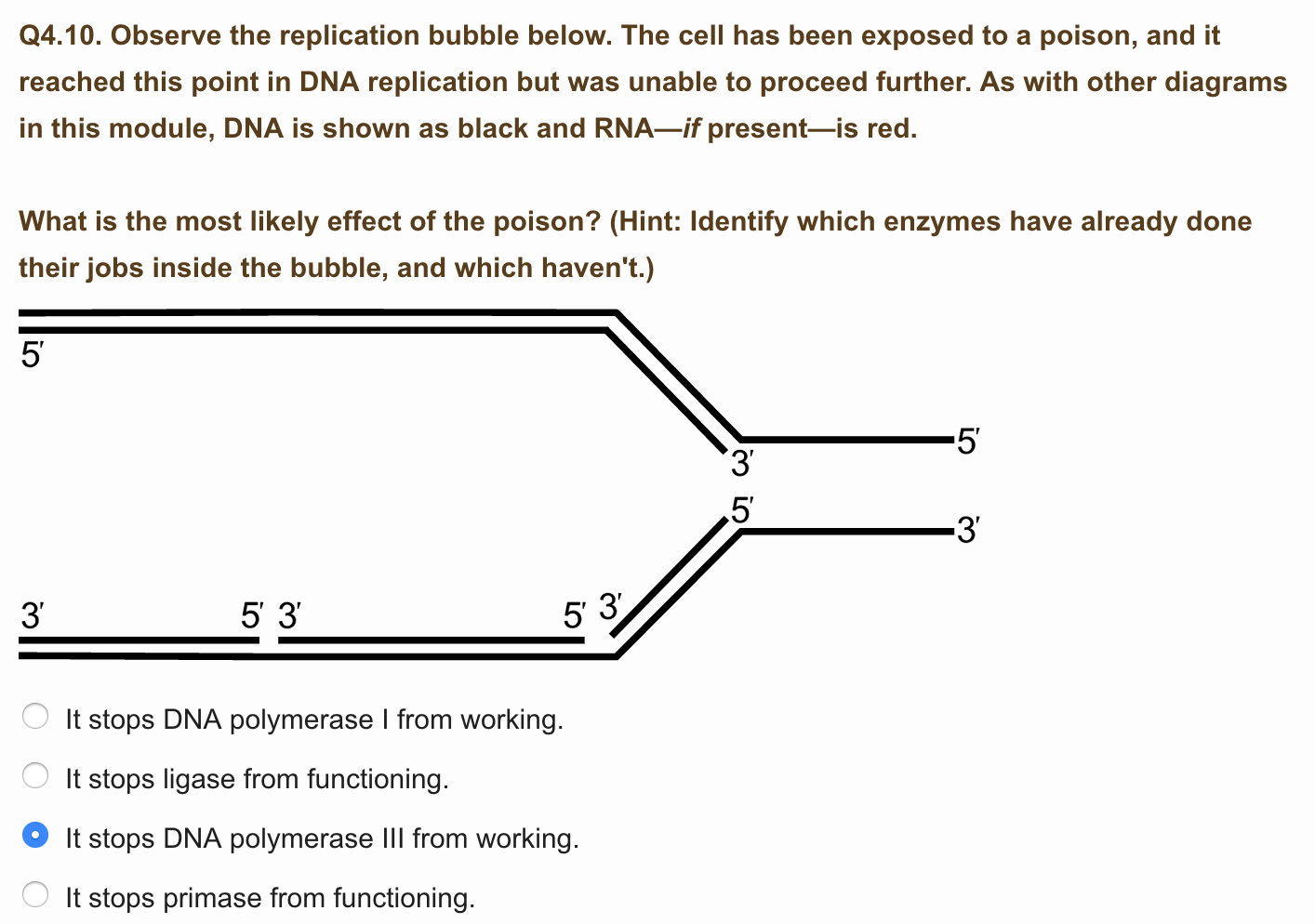 Solved: Q4.10. Observe The Replication Bubble Below. The C... | Chegg.com
