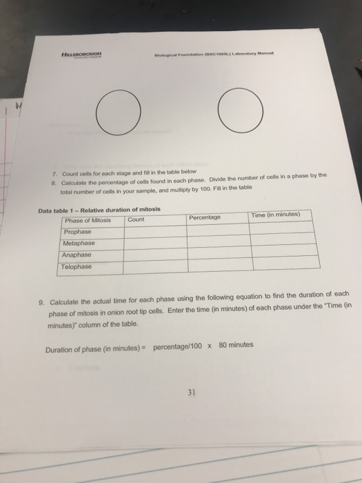 Solved HILLSBORouon Date Lab No. 5. Observing mitosis in | Chegg.com