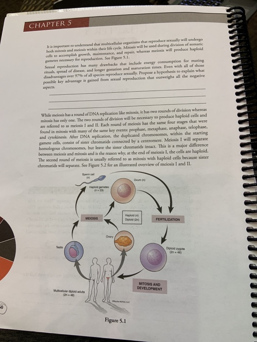 Solved CHAPTERS It is important to understand that | Chegg.com