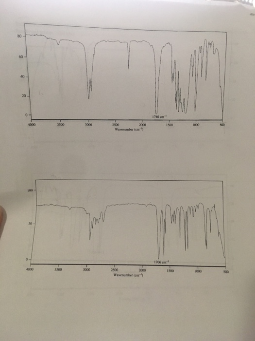 Solved Tell the functional groups indicated by each of the | Chegg.com
