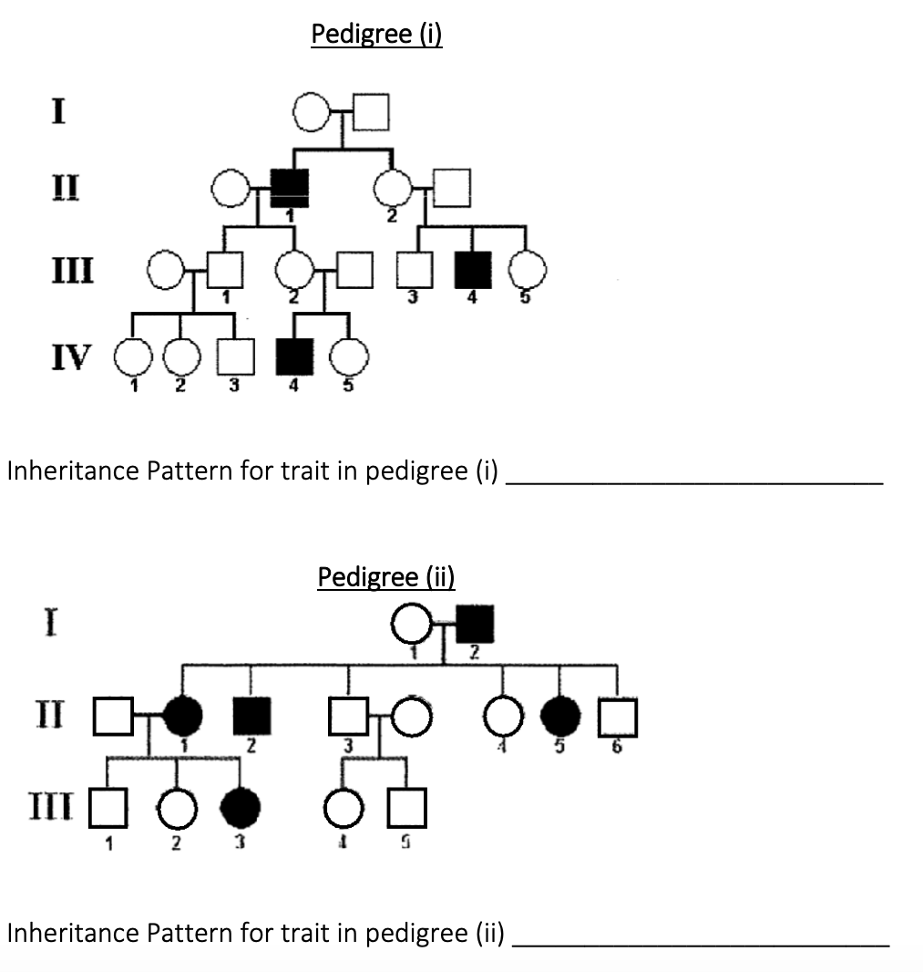 Solved (a) Using the information provided in the | Chegg.com
