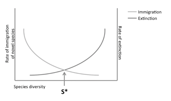 PLEASE HELP!! The graph below depicts the theory of | Chegg.com
