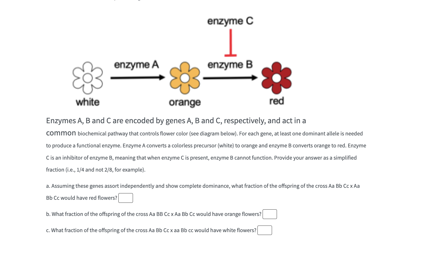 Solved Enzymes A,B and C are encoded by genes A,B and C, | Chegg.com