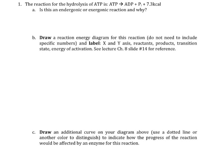 Solved 1. The reaction for the hydrolysis of ATP is: ATP ADP | Chegg.com