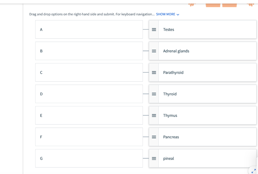 Solved Match the organ with the letter indicating it's | Chegg.com