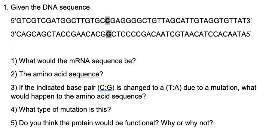 Solved 1. Given the DNA sequence | Chegg.com
