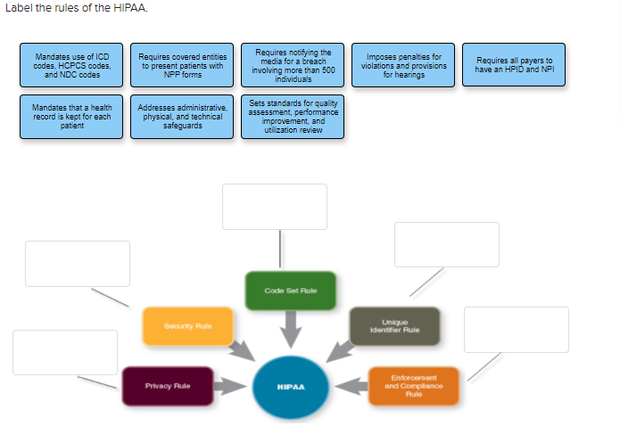 Solved Label the rules of the HIPAA. Mandates use of ICD | Chegg.com