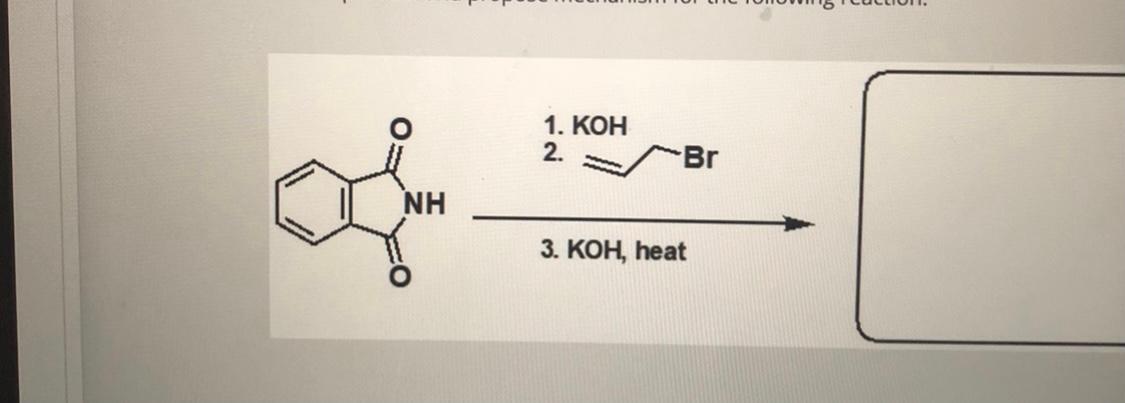 Solved 1. KOH 2. -Br NH 3. KOH, heat | Chegg.com