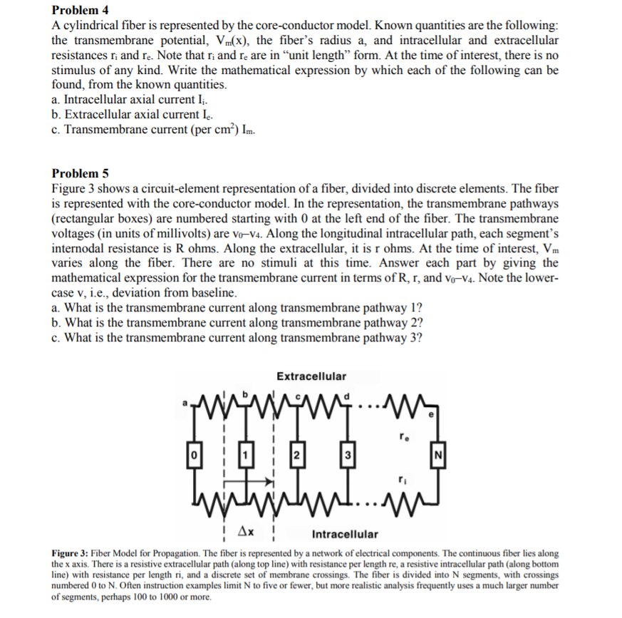 Problem 4 A cylindrical fiber is represented by the | Chegg.com