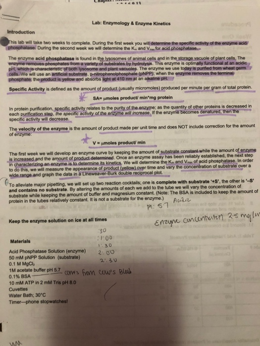 Lab: Enzymology & Enzyme Kinetics lab will take two | Chegg.com