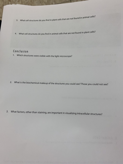 Solved DATE: SECTION/GROUP NAME: INSTRUCTOR: DATA: EXERCISE | Chegg.com