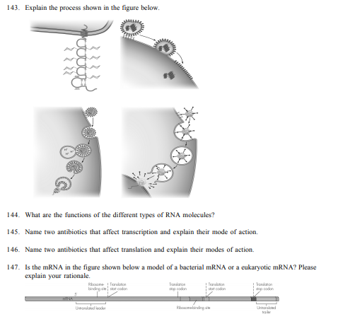 Solved 143. Explain the process shown in the figure below. | Chegg.com
