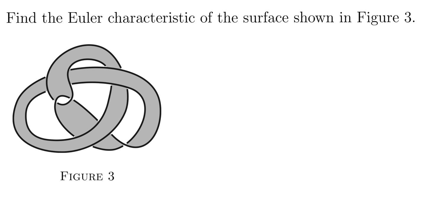 Solved Find the Euler characteristic of the surface shown in | Chegg.com