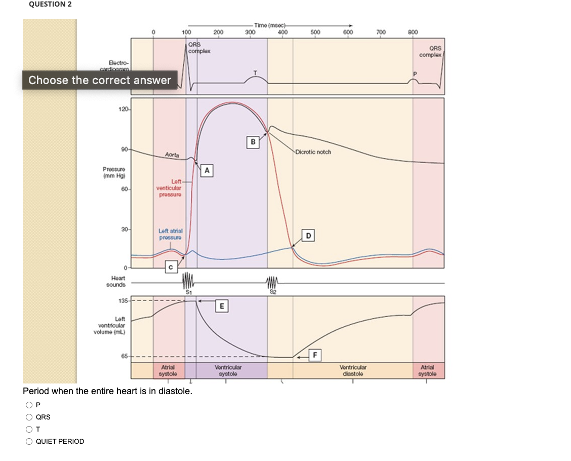 Solved QUESTION 2 Choose t Period when P QRS T QUIET PERIOD | Chegg.com