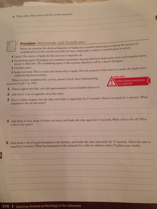 Solved Pre-Lab Exercise 233 Digestive Enzymes Brush border | Chegg.com