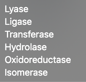 Solved In the image below, Enzyme 1 is most likely a | Chegg.com
