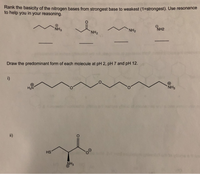 Solved Rank the basicity of the nitrogen bases from | Chegg.com