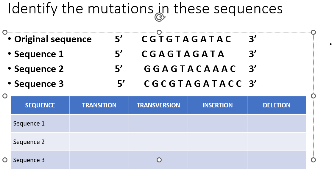 Solved Identify the mutations in these sequences | Chegg.com