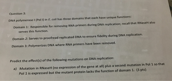 Solved DNA polymerase I (Pol I) in E. coli has three domains | Chegg.com