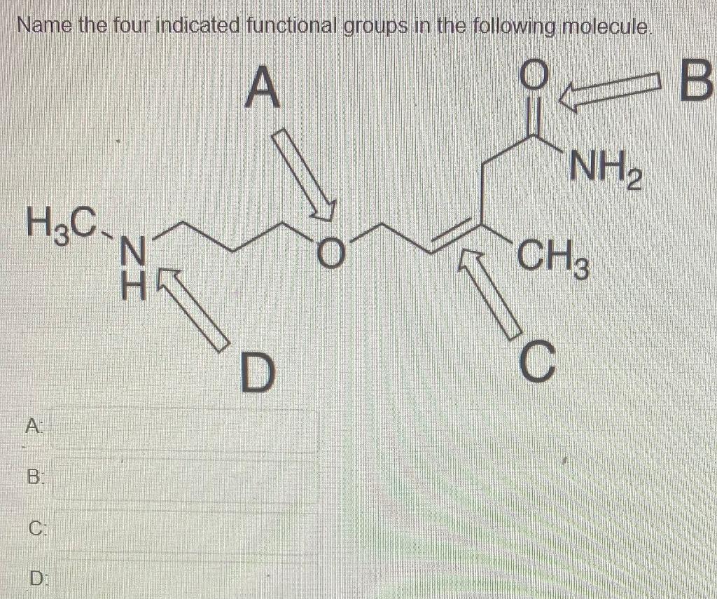 Solved Name the four indicated functional groups in the | Chegg.com