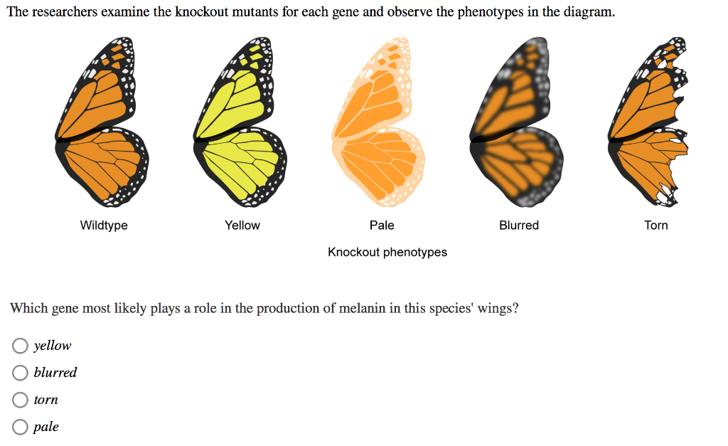 Solved Suppose that researchers interested in the | Chegg.com