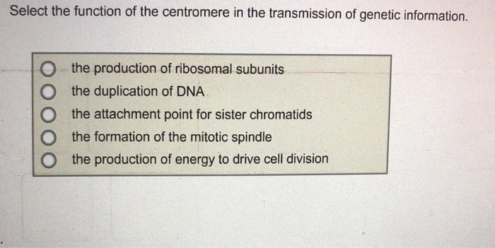Solved Select the function of the centromere in the | Chegg.com