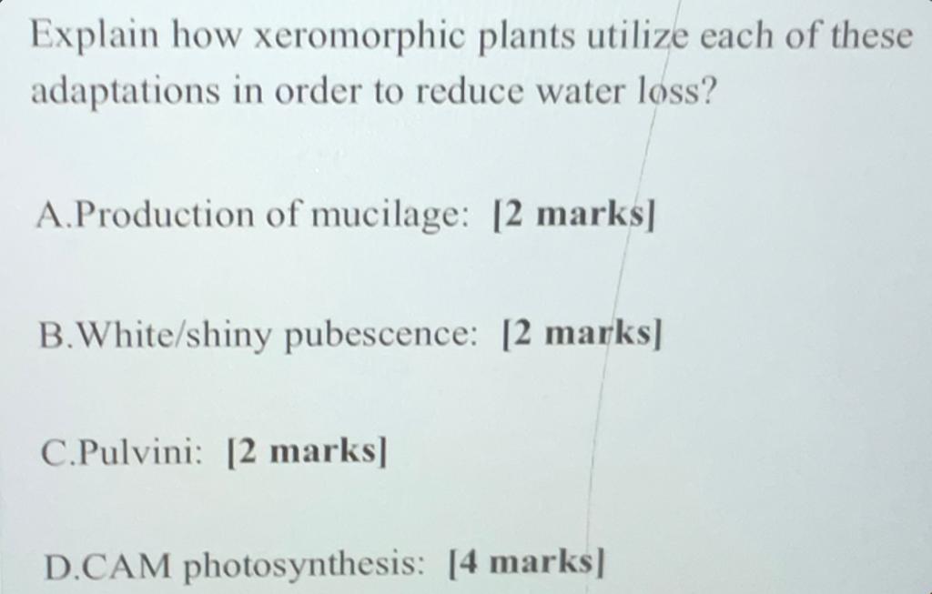 Solved Explain how xeromorphic plants utilize each of these | Chegg.com