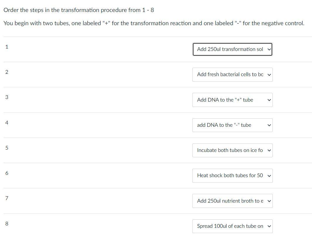 Solved Order the steps in the transformation procedure from | Chegg.com
