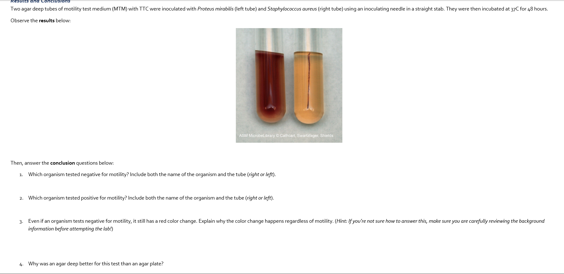 Results and Two agar deep tubes of motility test | Chegg.com