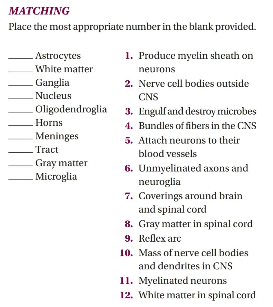 Solved MATCHING Place the most appropriate number in the | Chegg.com