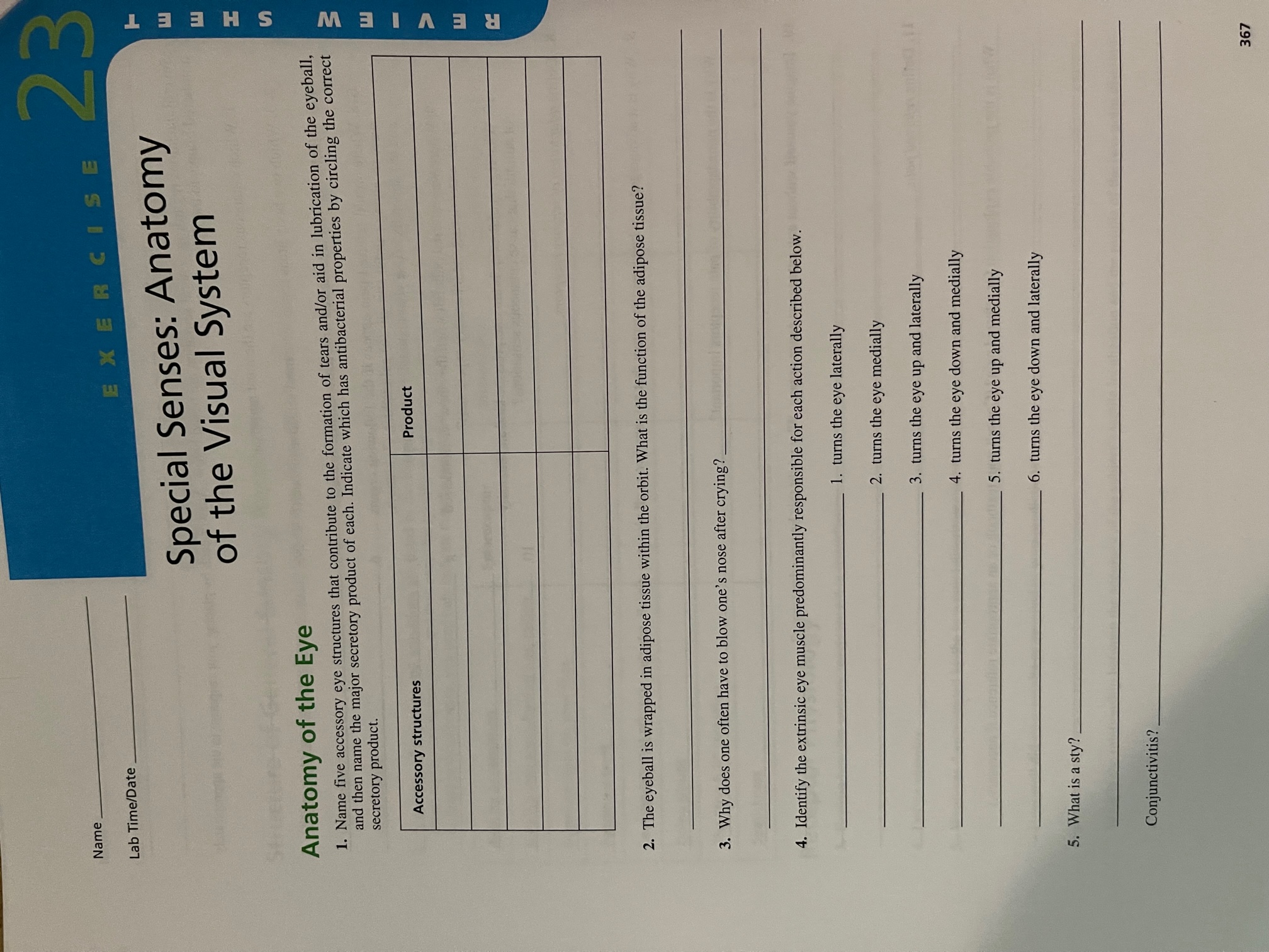 Solved 6. Correctly identify each lettered structure in | Chegg.com