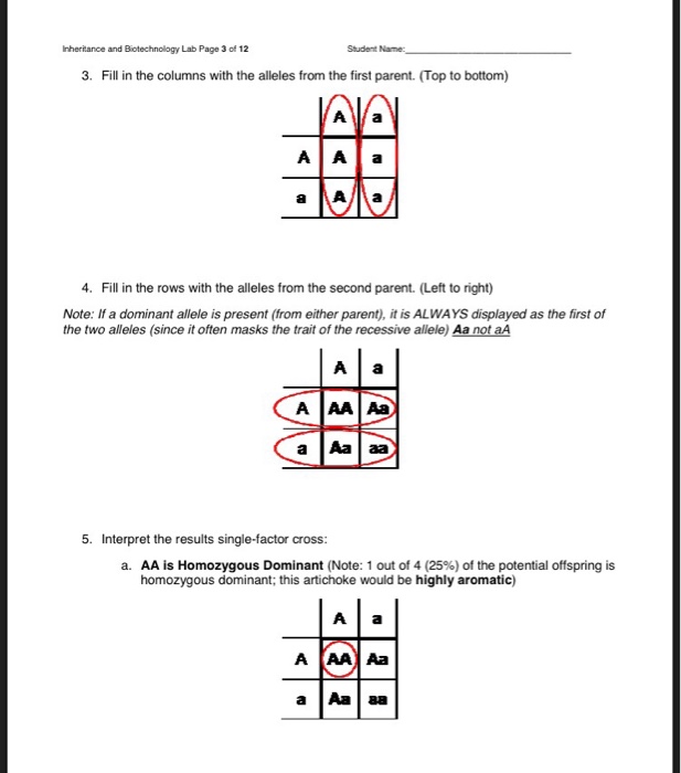 Solved Inheritance and Biotechnology Lab Page 1 of 12 | Chegg.com Solved Inheritance and Biotechnology Lab Page 1 of 12 | Chegg.com