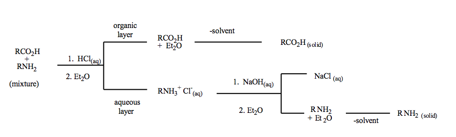 Solved organic -solvent layerRCO,H + EtO RCO2H solid) 1. H | Chegg.com