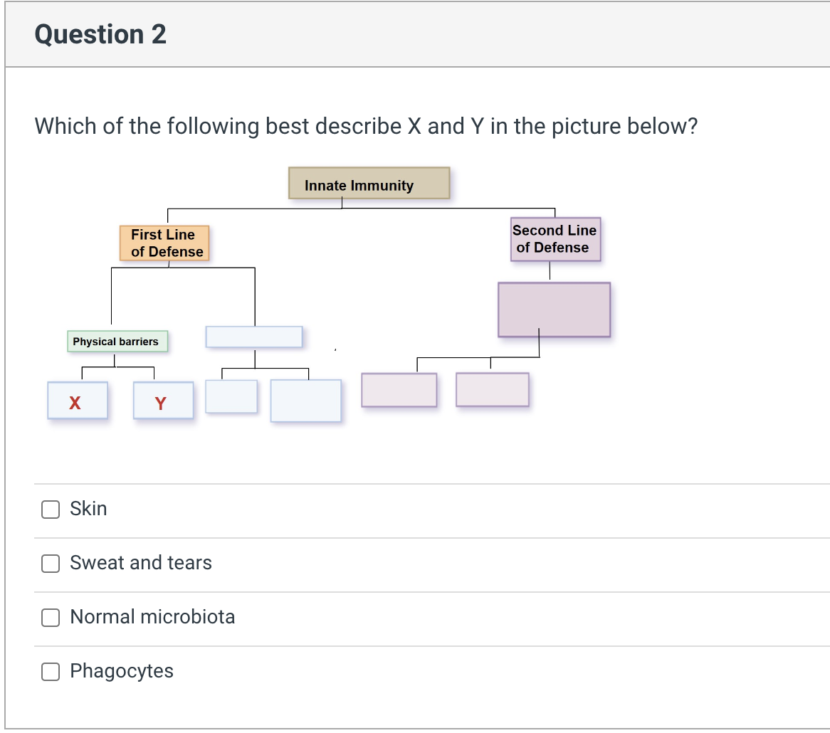 Solved Which of the following best describe \\( X \\) and | Chegg.com