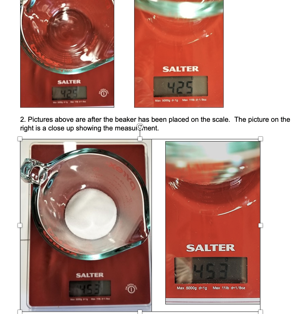 Solved 1. Obtain your water sample from your instructor. 2. | Chegg.com