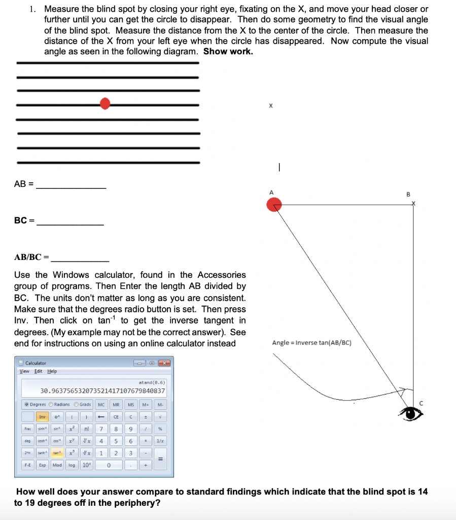 Solved 1. Measure the blind spot by closing your right eye, | Chegg.com
