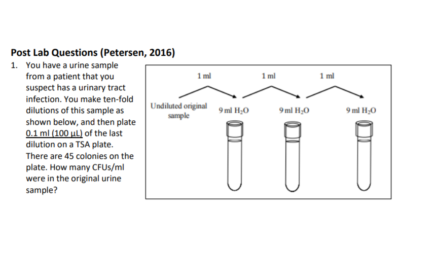Solved 1 ml 9ml H2O 9 ml H2O 9 ml H20 Post Lab Questions | Chegg.com