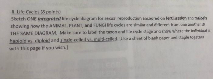 Solved 1I.Life Cycles (8 points) Sketch ONE integrated life | Chegg.com