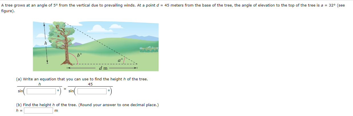 Solved A tree grows at an angle of 5° from the vertical | Chegg.com