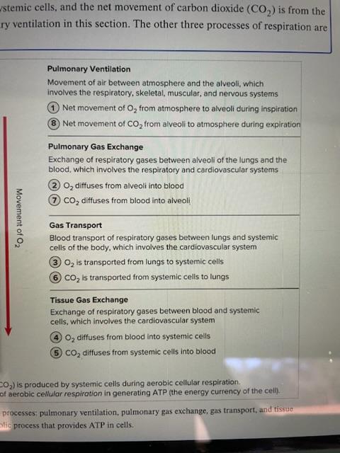 Solved stemic cells, and the net movement of carbon dioxide | Chegg.com