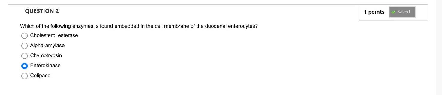 Solved Which of the following enzymes is found embedded in | Chegg.com