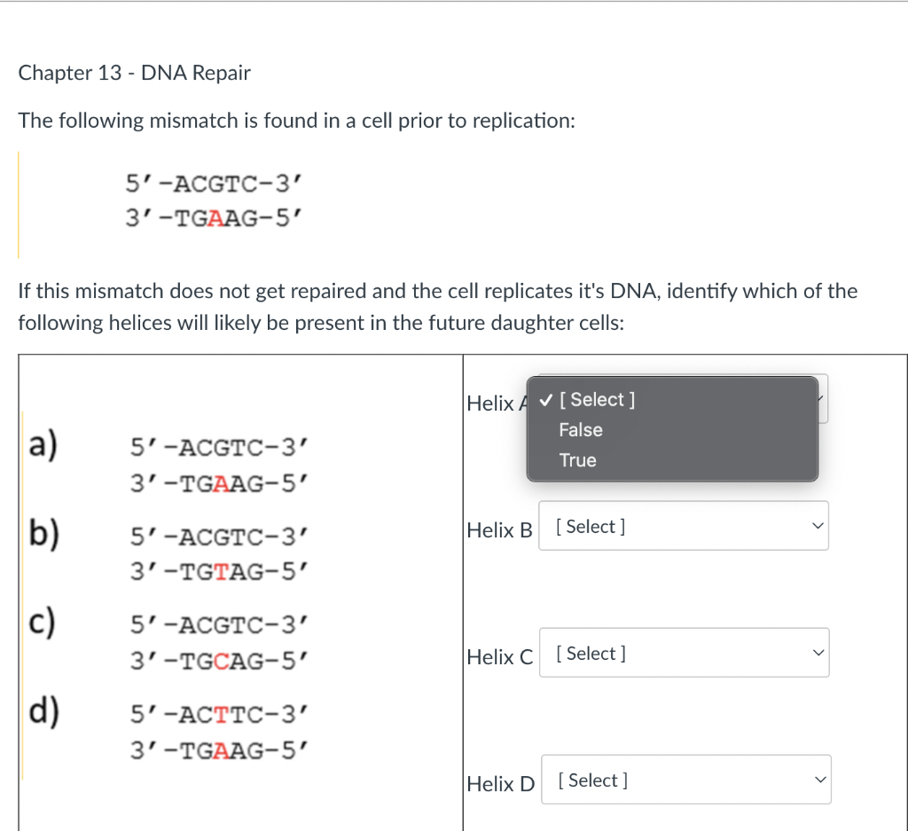 Solved Chapter 13 - DNA Repair The following mismatch is | Chegg.com