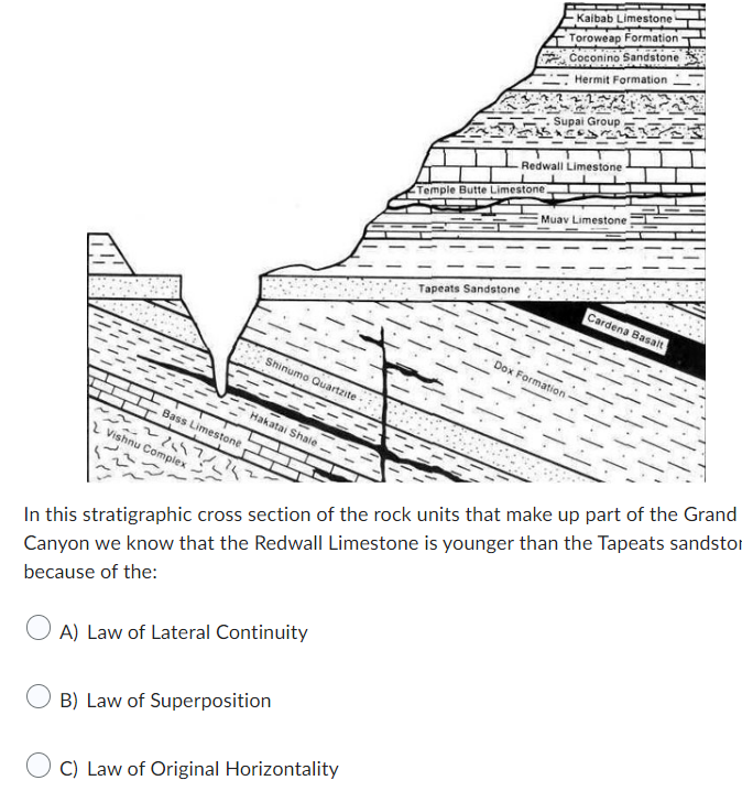 Solved In tnıs stratıgrapnıc cross sectıon or the rock unıts | Chegg.com