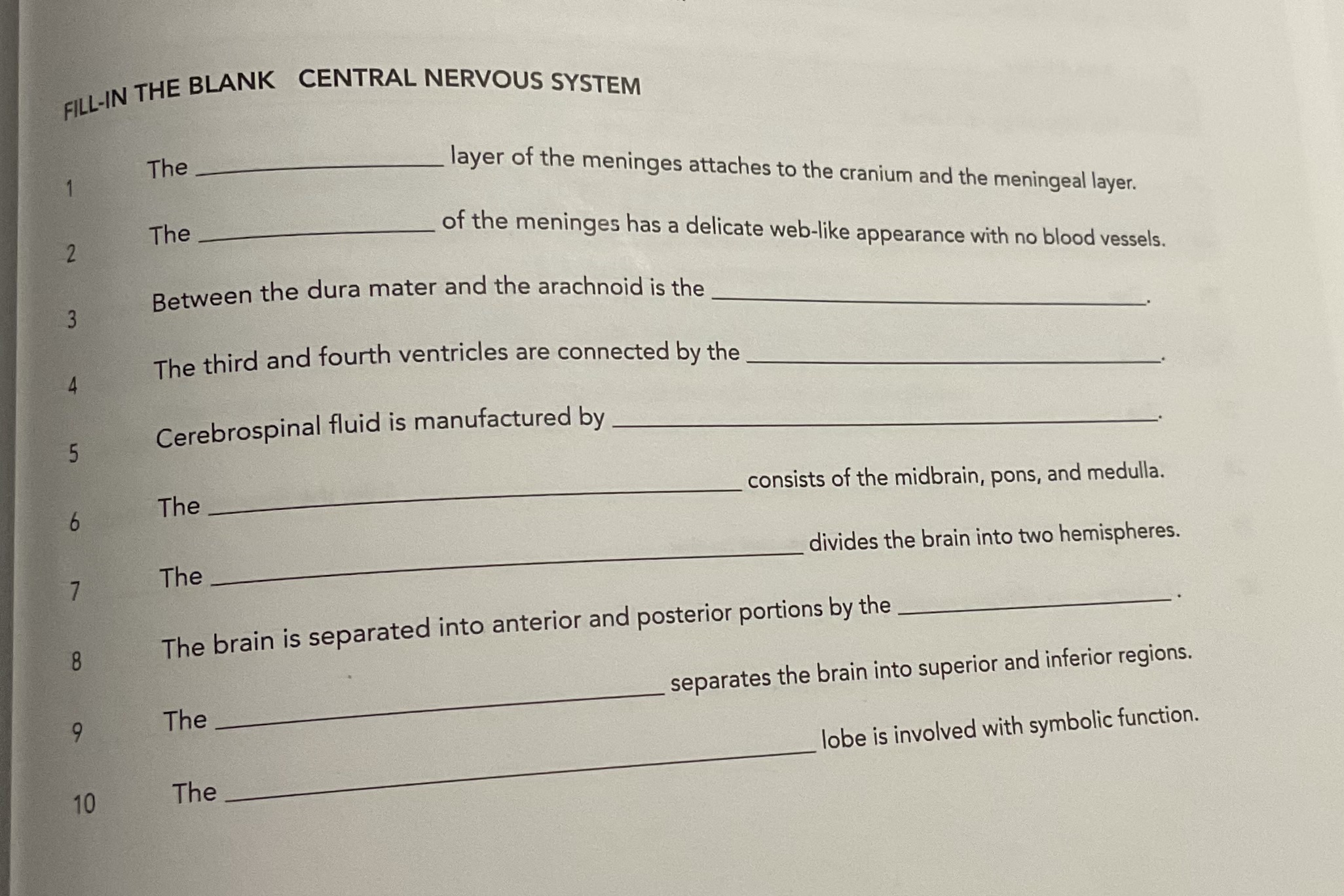 Solved FILL-IN THE BLANK CENTRAL NERVOUS SYSTEM The layer of | Chegg.com
