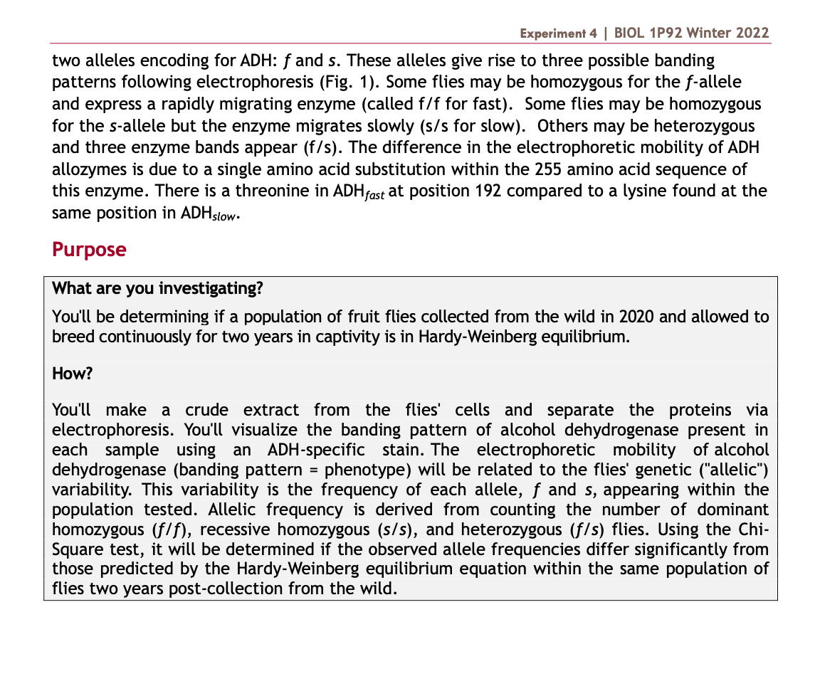 Solved Question: Experiment 4 All Lab Information you | Chegg.com